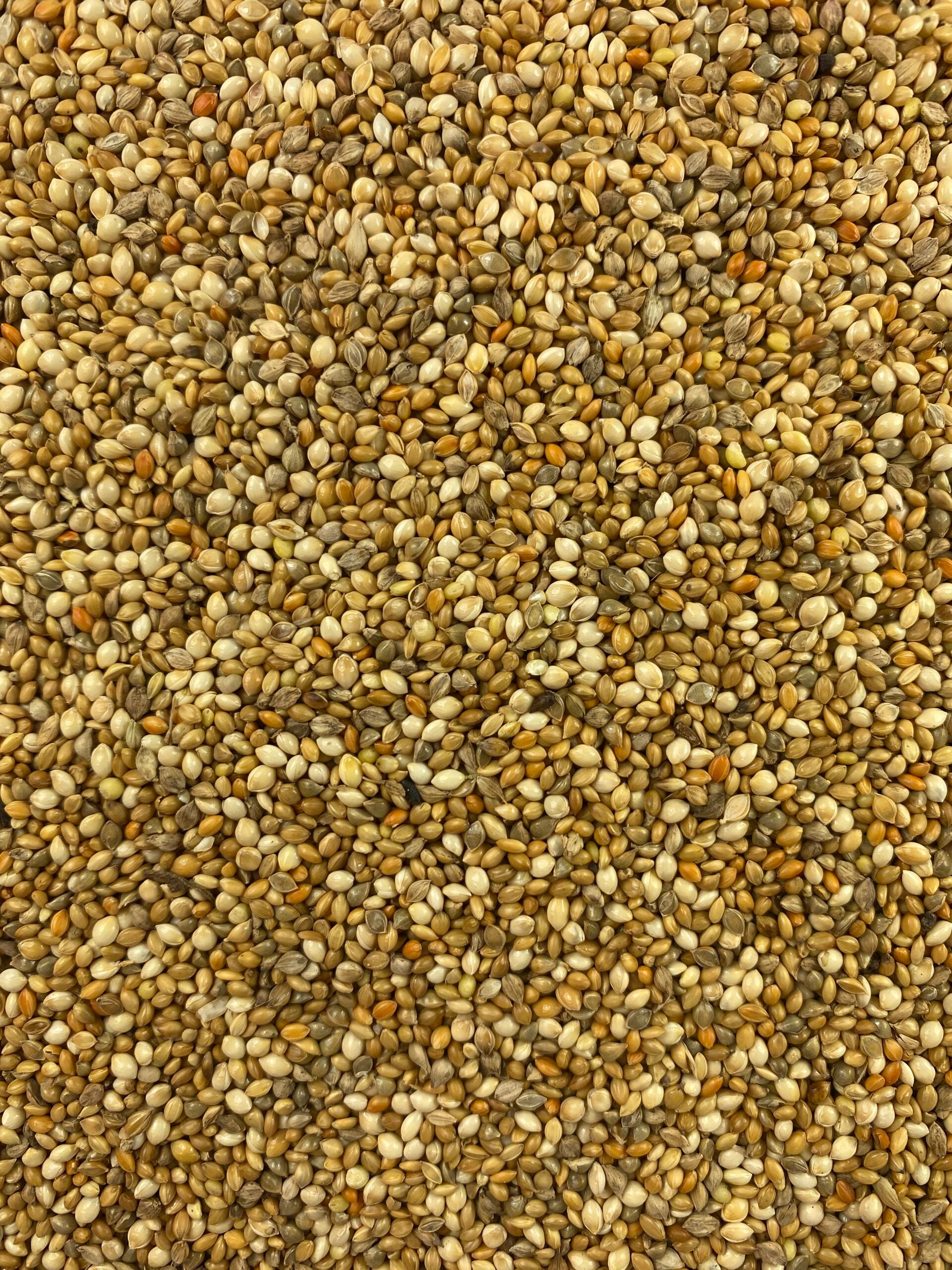 Topflite Millet Mix 20 KG - The Chook Barn